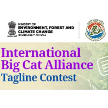 International Big Cat Alliance Tagline Contest 2023