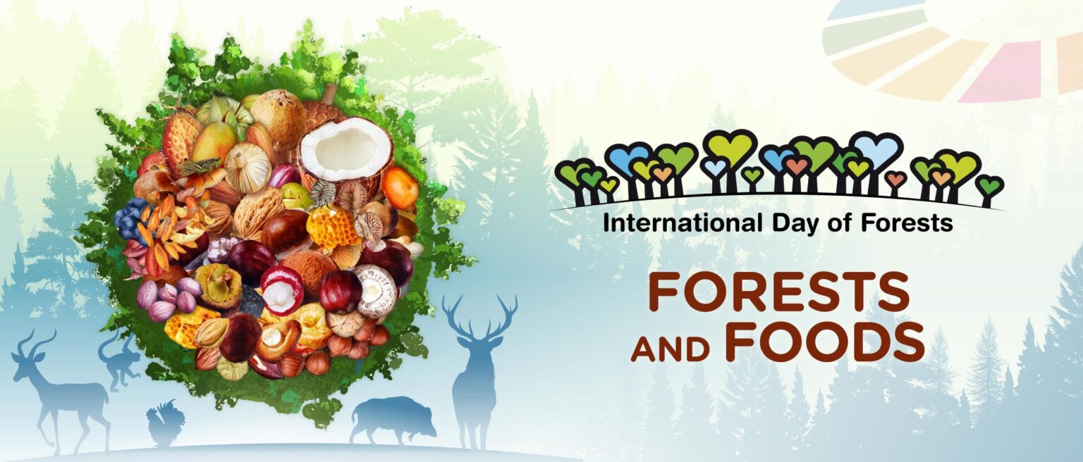 FAO International Day of Forests Photo Contest 2025